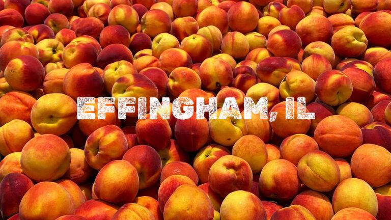 Flamm Orchards Peach Tour - Flamm Orchards